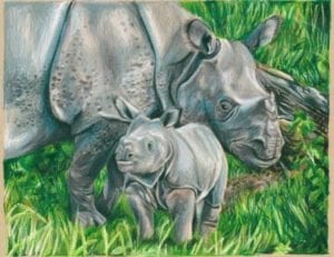 The IFAW World of Animals Art Contest - We Are Teachers