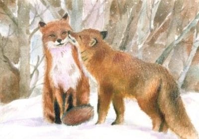 The IFAW World of Animals Art Contest - We Are Teachers