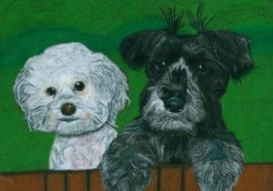 The IFAW World of Animals Art Contest - We Are Teachers