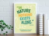FREE Poster Set! Sustainability Posters for the Classroom - We Are Teachers