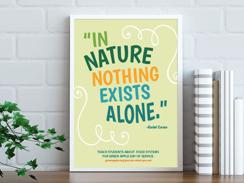FREE Poster Set! Sustainability Posters for the Classroom - We Are Teachers