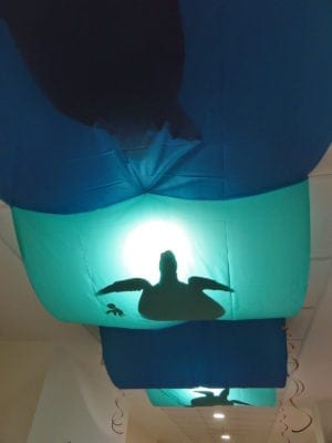 25 Beach Classroom Theme Ideas - WeAreTeachers