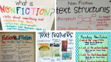 18 Nonfiction Anchor Charts for the Classroom - WeAreTeachers