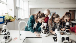 Free Science Activities for Middle and High School Students