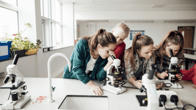Free Science Activities for Middle and High School Students