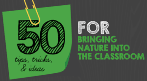 Teach with Nature with these 50 Tips, Tricks, and Ideas