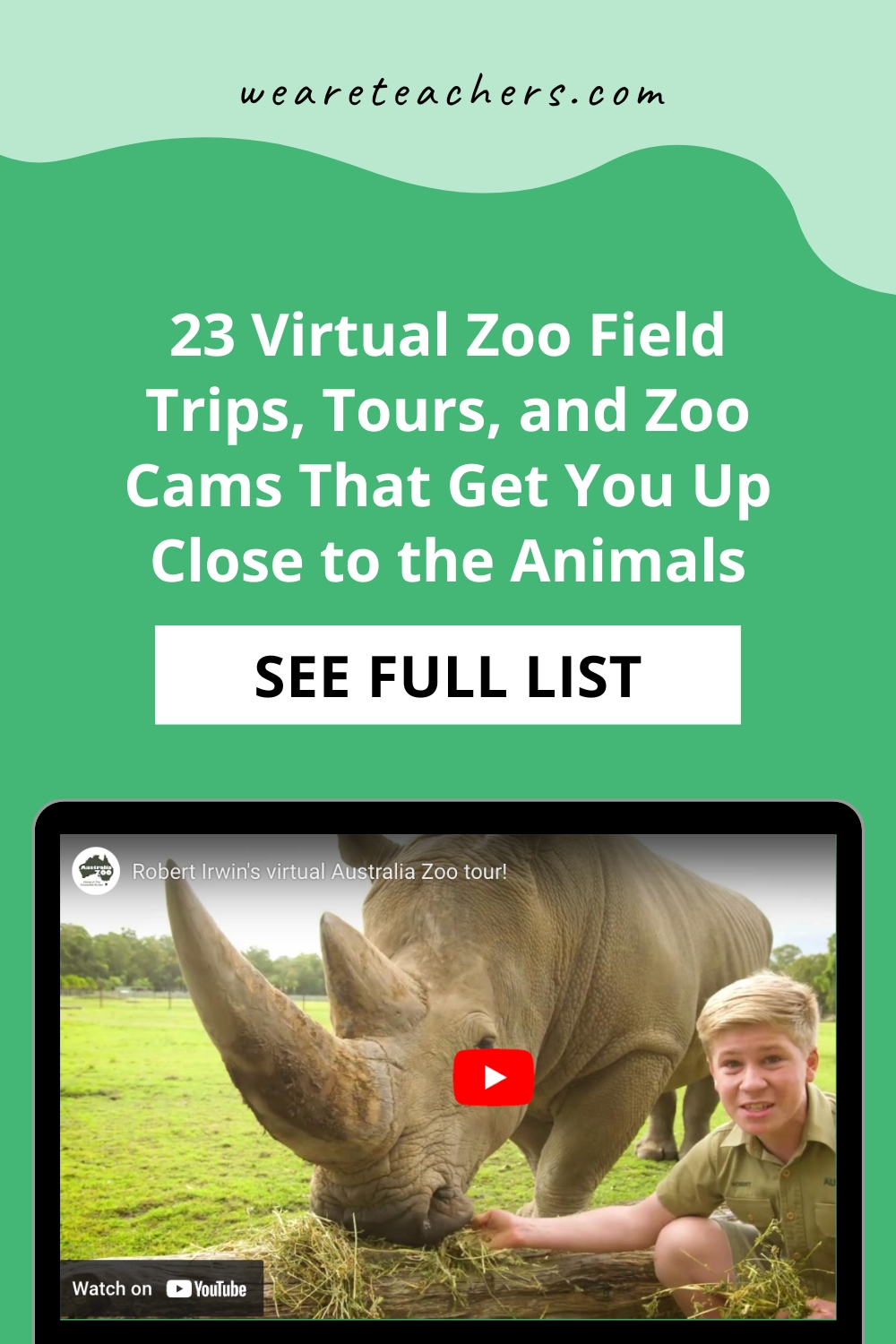 23 Best Virtual Zoo Field Trips, Virtual Zoo Tours, and Zoo Cams