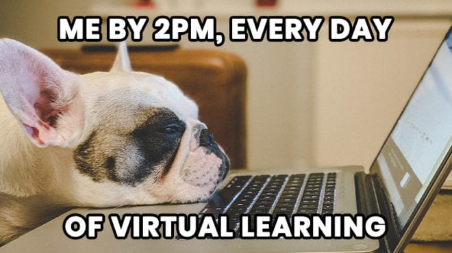 17 Memes That Nail the Highs and Lows of Remote Teaching