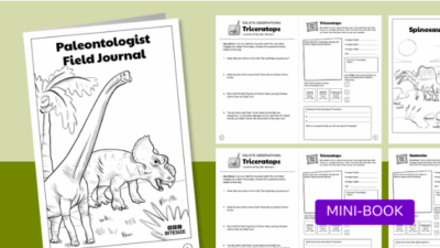Science Virtual Field Trip From BBC Learning Hub About Dinosaurs