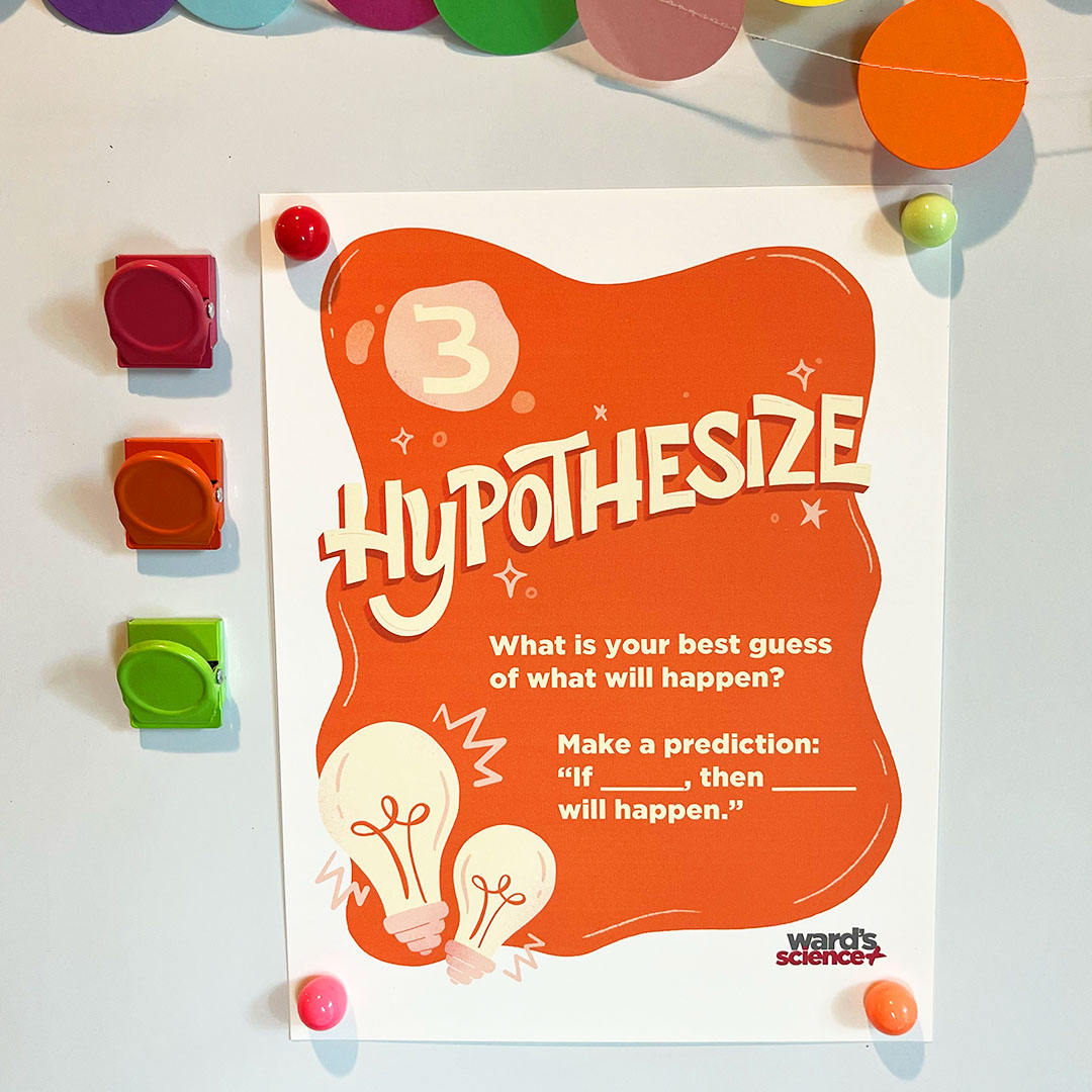 Scientific Method Posters: Free To Save and Print