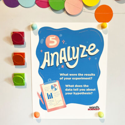 Scientific Method Posters: Free To Save and Print