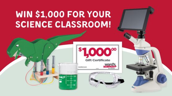Win $1,000 for Your Science Classroom from Ward's Science! - We Are ...