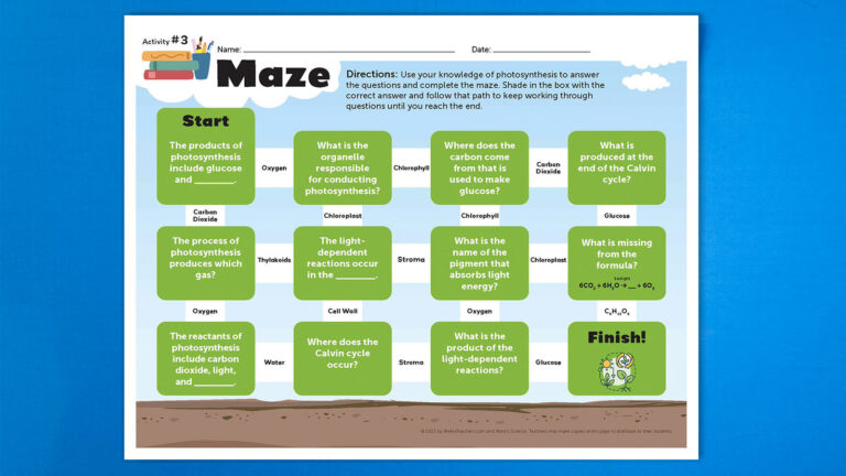 Photosynthesis Worksheets for Middle + High School. Free to Print!