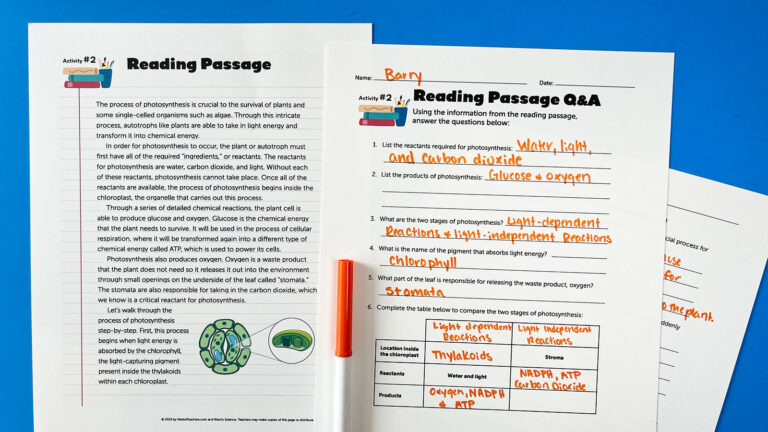 Photosynthesis Worksheets for Middle + High School. Free to Print!