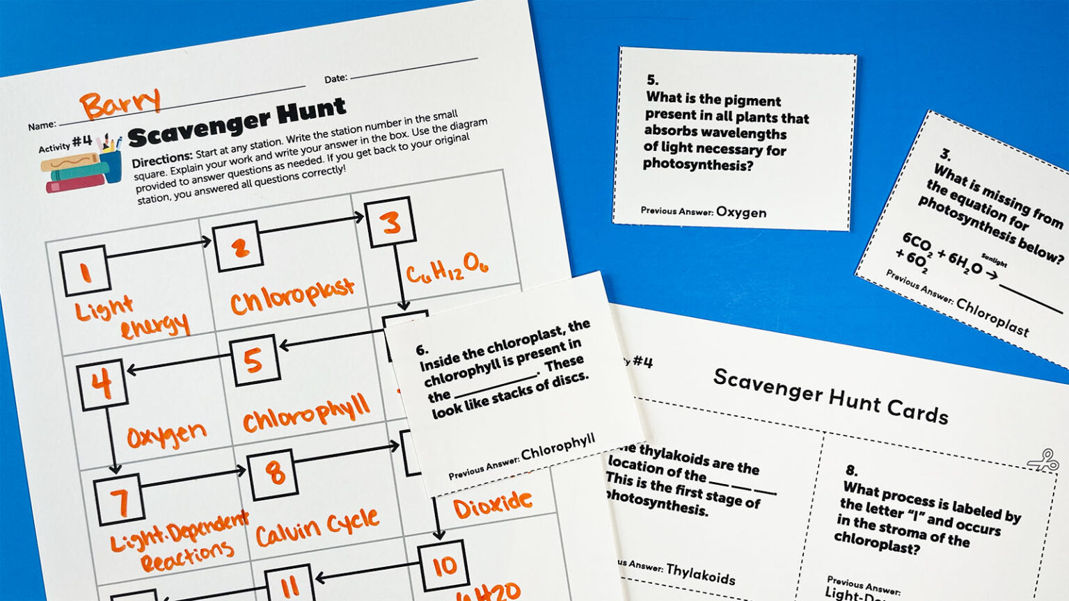 Photosynthesis Worksheets for Middle + High School. Free to Print!