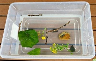 The 33 Best Water Activities for Fun and Learning | WeAreTeachers