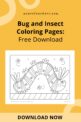 Bug and Insect Coloring Pages