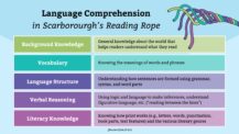 Scarborough's Reading Rope: How Kids Develop Reading Fluency