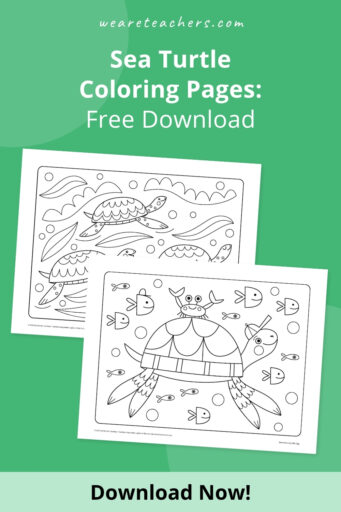 Sea Turtle Coloring Pages: Free Download