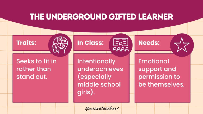 6 Types of Gifted Kids Every Teacher Should Know About