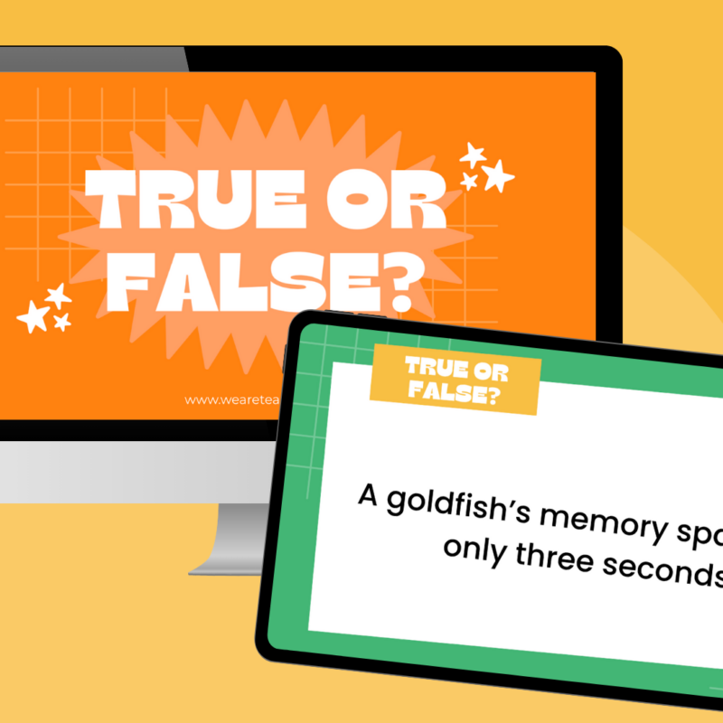 160 True or False Questions for Kids (With Answers)