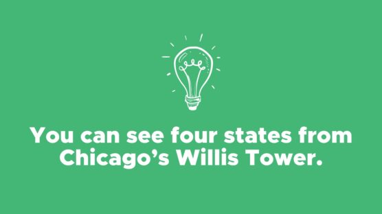 130 Weird but True Fun Facts To Amaze and Surprise Everyone