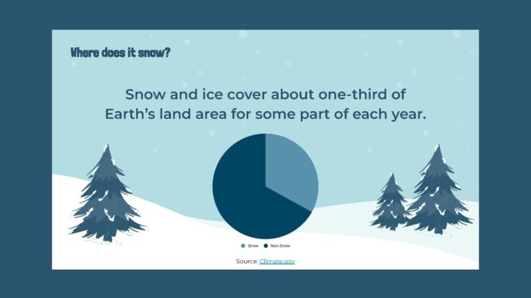 What Is Snow? How Does It Form? (Plus Free Worksheet + Slides)