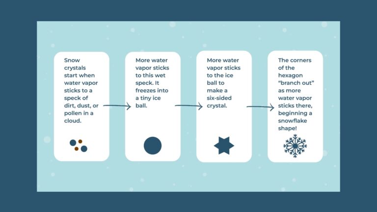 What Is Snow? How Does It Form? (Plus Free Worksheet + Slides)