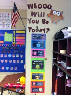 Owl-Themed Classroom Ideas - Classroom Bulletin Boards and Decor