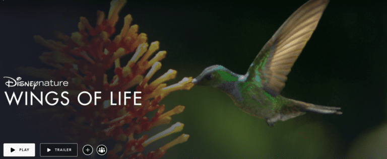 50 Great Educational Disney+ Shows for Distance Learning