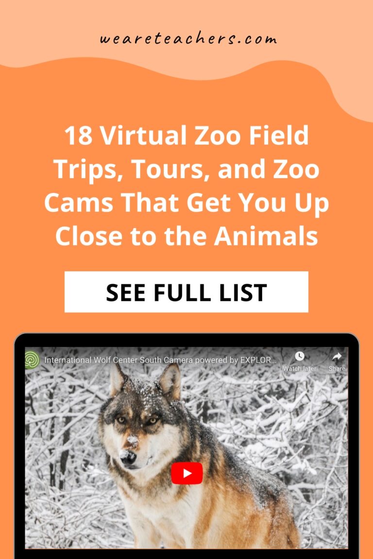 18 Best Virtual Zoo Field Trips, Virtual Zoo Tours, and Zoo Cams