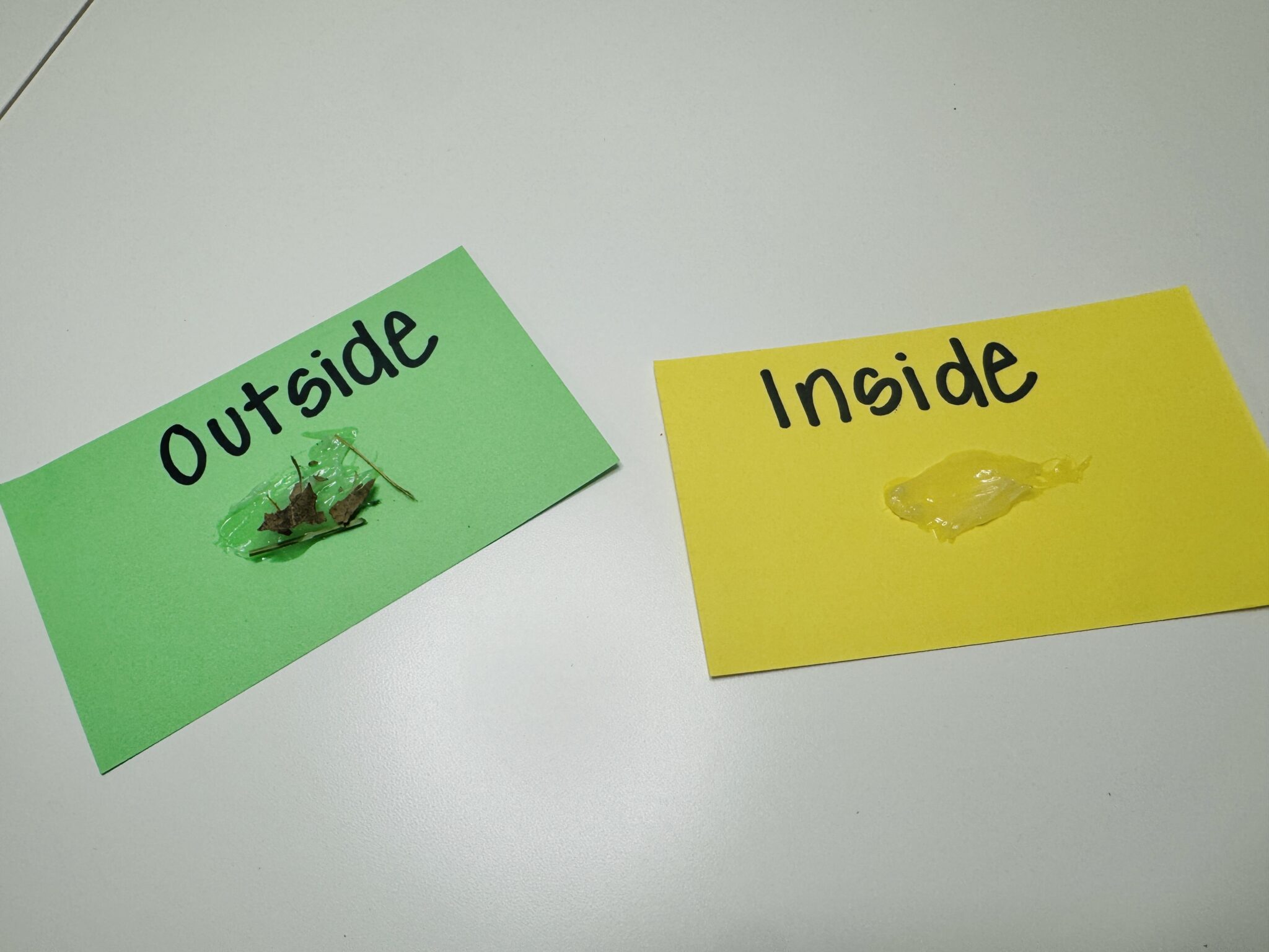 17 Meaningful Climate Change Activities for Kids