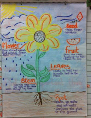 Anchor Charts 101: Why and How to Use Them, Plus 100s of Ideas