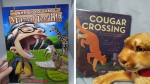 20 Fascinating Animal Books for Kids