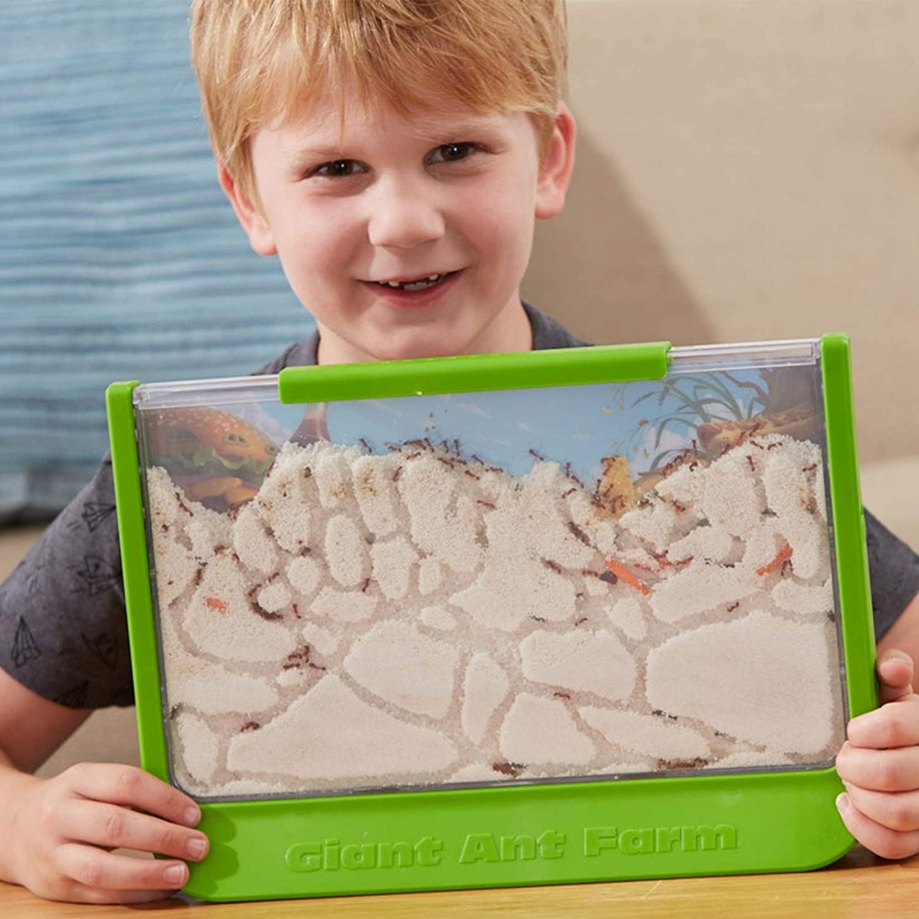 10 Buzz Worthy Creepy Crawly Insect Kits For the Classroom