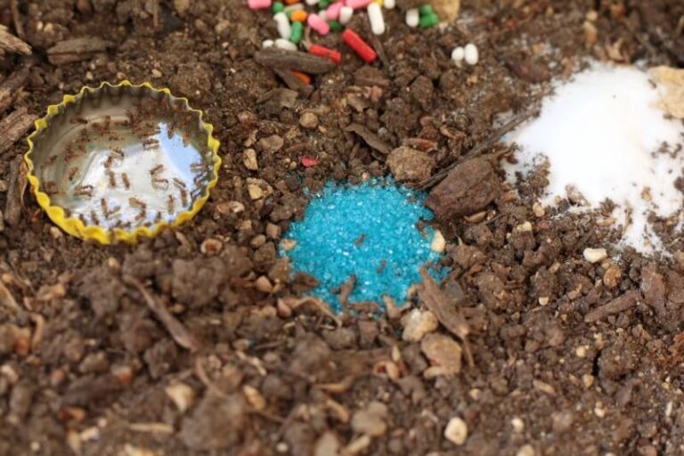 78 Fantastic 4th Grade Science Projects and Experiments