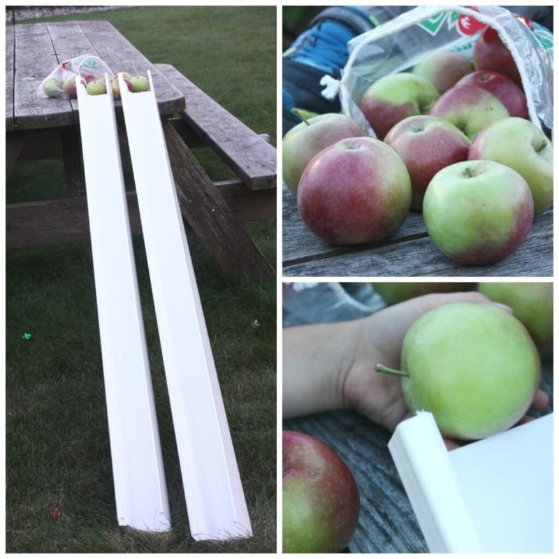 The Best Apple Science Activities for Grades PreK-2 - We Are Teachers