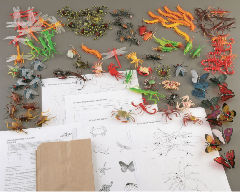 Science Supplies for the Elementary Classroom--Learn About the World!