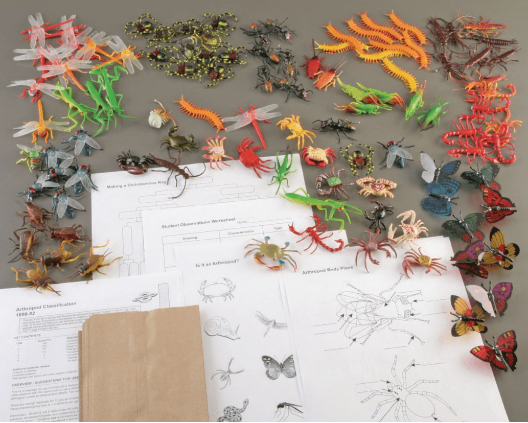 Science Supplies for the Elementary Classroom--Learn About the World!