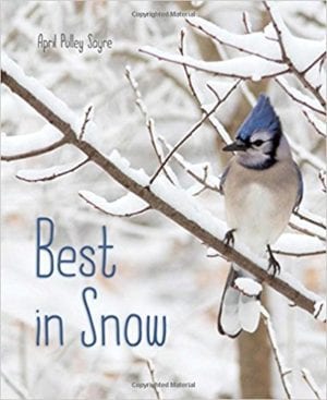 43 Best Winter Picture Books for the Classroom
