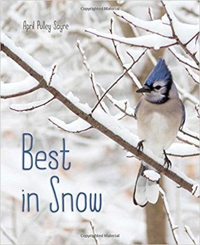 43 Best Winter Picture Books for the Classroom