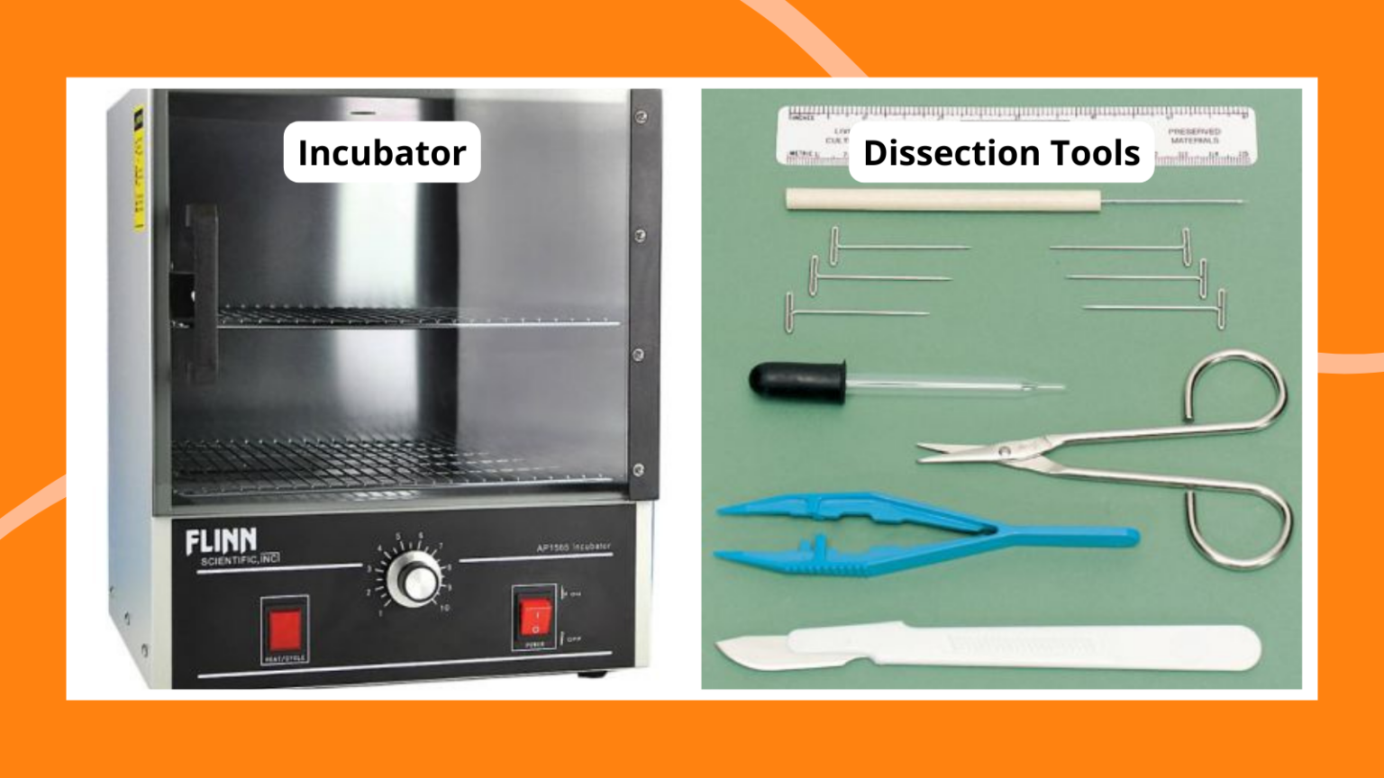 Best Biology Lab Equipment for Schools and Students