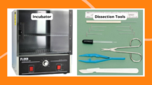 Best Biology Lab Equipment for Schools and Students