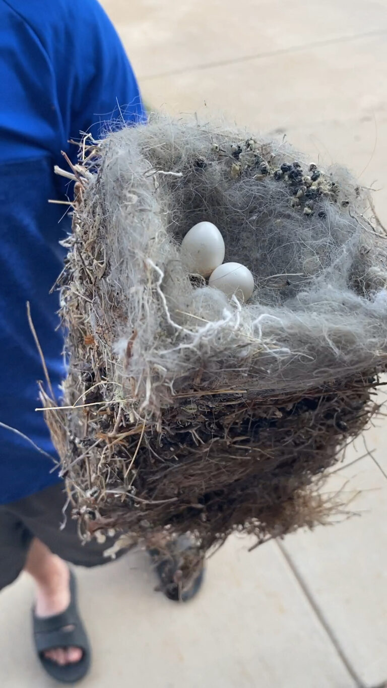 50 STEM Activities for Kids of All Ages and Interests