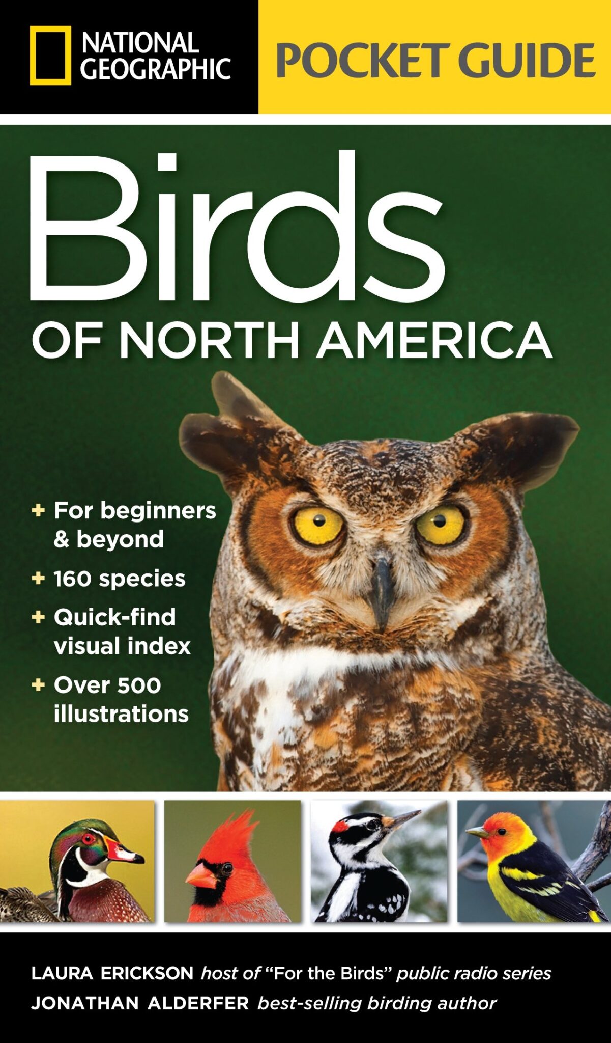 Bird Books for Kids, as Recommended by Teachers