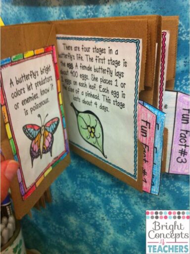 42 Creative Book Report Ideas for Every Grade and Subject