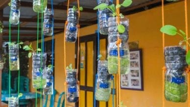 What Is a Green Club and Why Your School Needs One