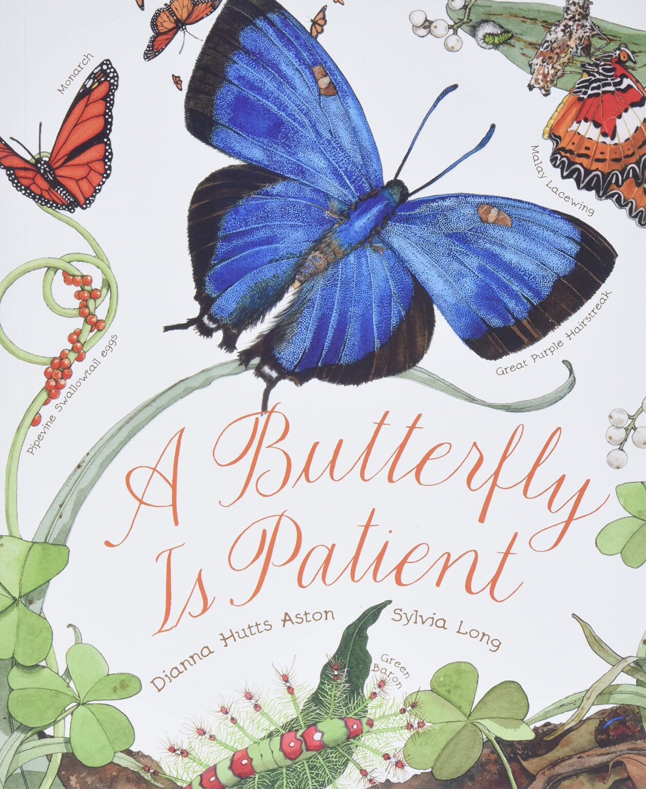 16 Best Butterfly Books for Kids