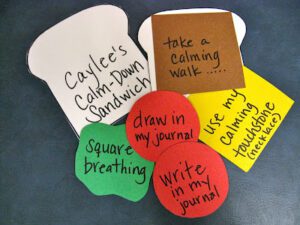 Zones of Regulation Activities, Tips, and Ideas