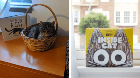 Best Cat Books for Kids, as Recommended by Teachers